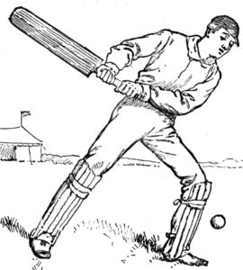 21 Free Cricket Coloring Pages Printable – ScribbleFun